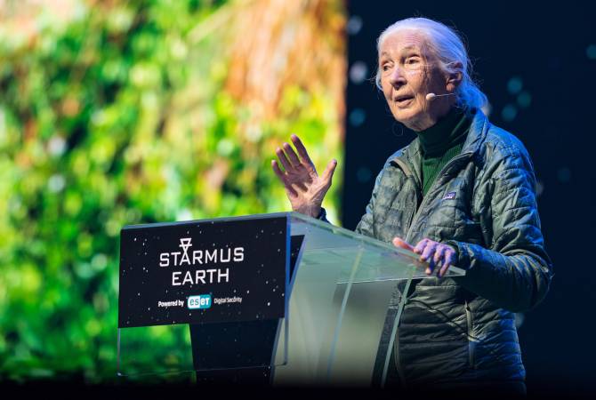 From despair to hope: Jane Goodall's message for saving our planet ...