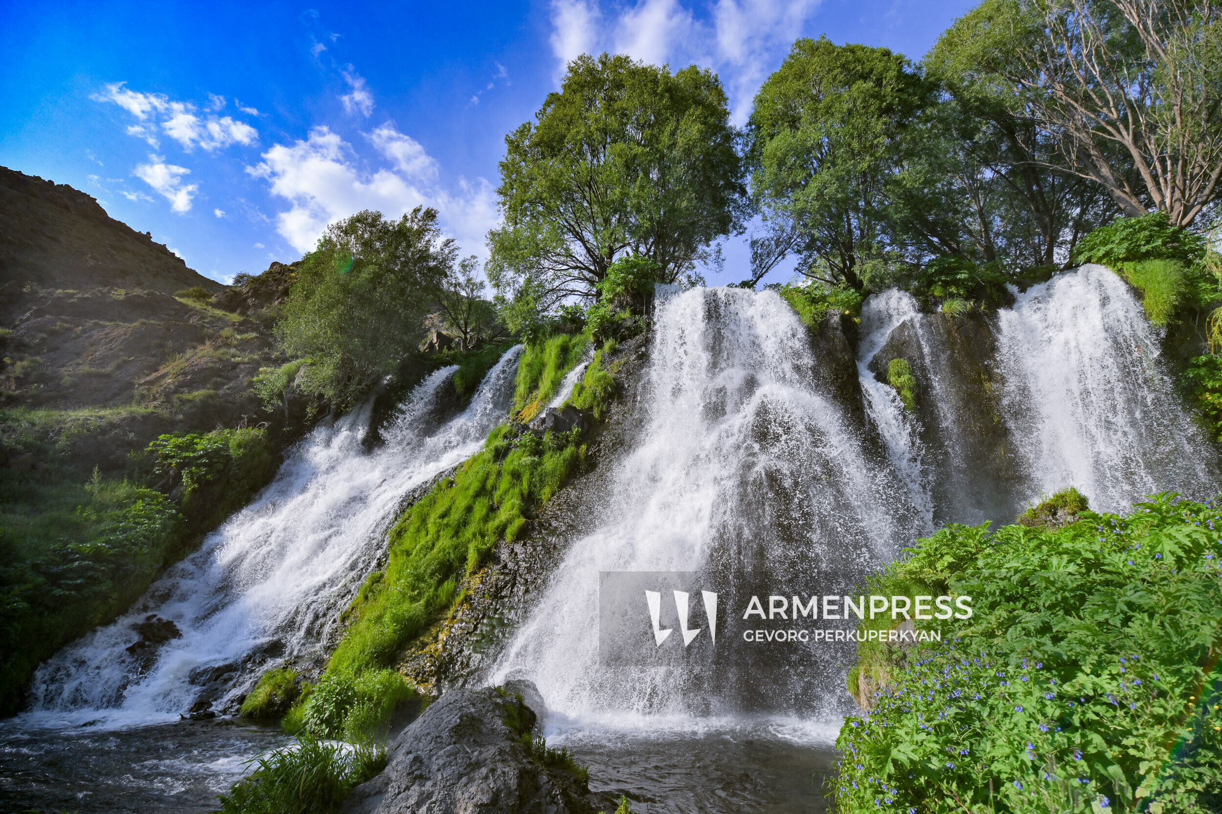 Infamous gender reveal party organizer used food coloring, says ...